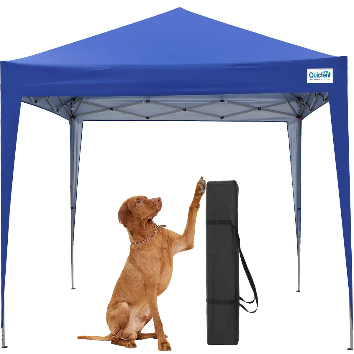Quictent 10x10 EZ Pop Up Canopy, No-Side Vendor Tent, Water Resistant ...
