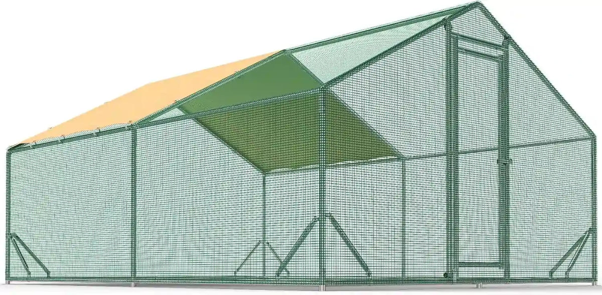 Upgraded Large Walk-in Chicken Coop Run – MaxLead